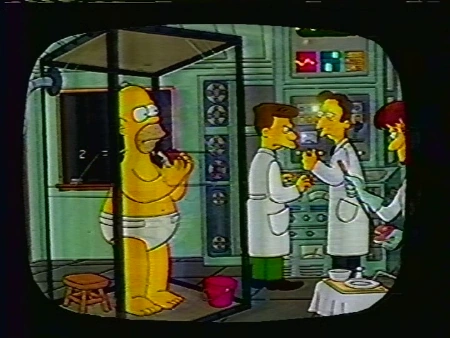 The Simpsons/The Call of the Simpsons | FoxWorld Wiki | Fandom