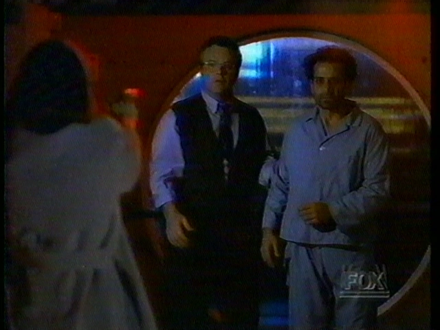 August 25, 1995 | FoxWorld Wiki | Fandom