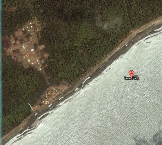 Ture Ture | Flying Purple Hippos Wiki | Fandom