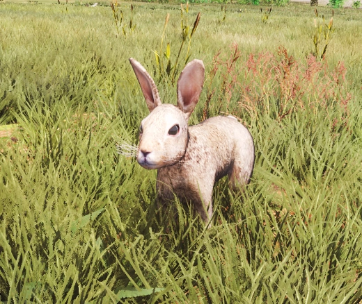 Rabbit | Fracturedveil Wiki | Fandom