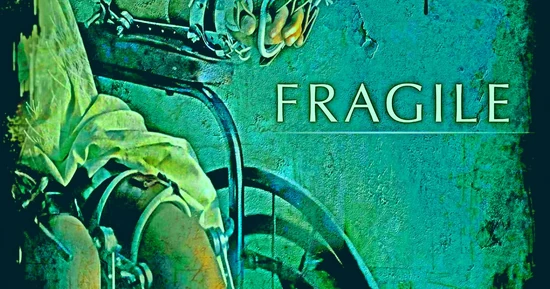 Fragile Wikia | Fandom