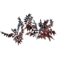 Category:Plants and Trees | Fragmented Wikia | Fandom