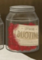 Duotin | Fran Bow Wiki | Fandom