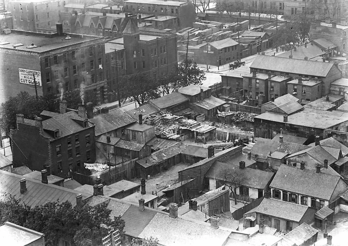 The Ward | Frankie Drake Mysteries Wiki | Fandom