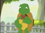 Franklin Turtle | Franklin Wiki | Fandom