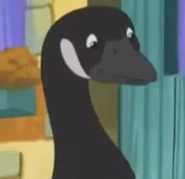 Goose | Franklin Wiki | Fandom