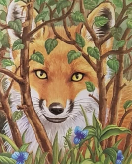 Fox | Franklin Wiki | Fandom