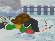 Franklin Turtle | Franklin Wiki | Fandom