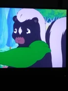 Skunk | Franklin Wiki | Fandom