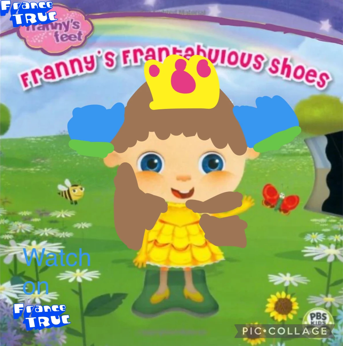 Franny's Frantabulous Shoes book | Franny's Feet Wiki | Fandom
