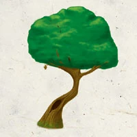 Rillifane Rallathil | Forgotten Realms Cormyr Wiki | Fandom