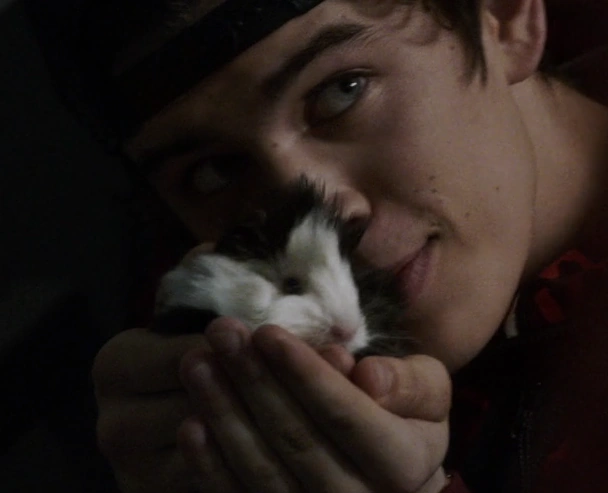 Mr. Oink | Freakish Wiki | Fandom