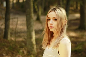 Fey, Fairies, & Elves | Freaks Wiki | Fandom