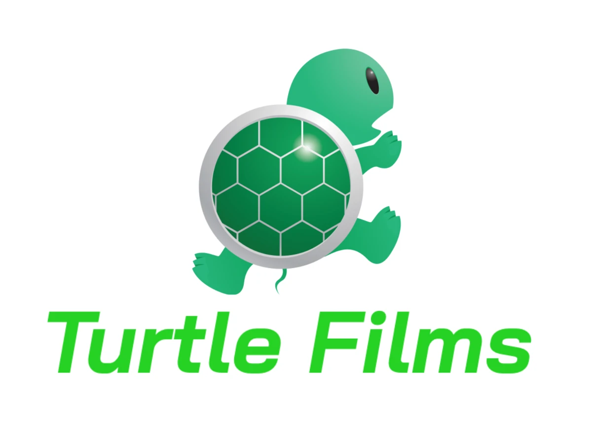 Turtle Films | Scary Logos Wiki | Fandom
