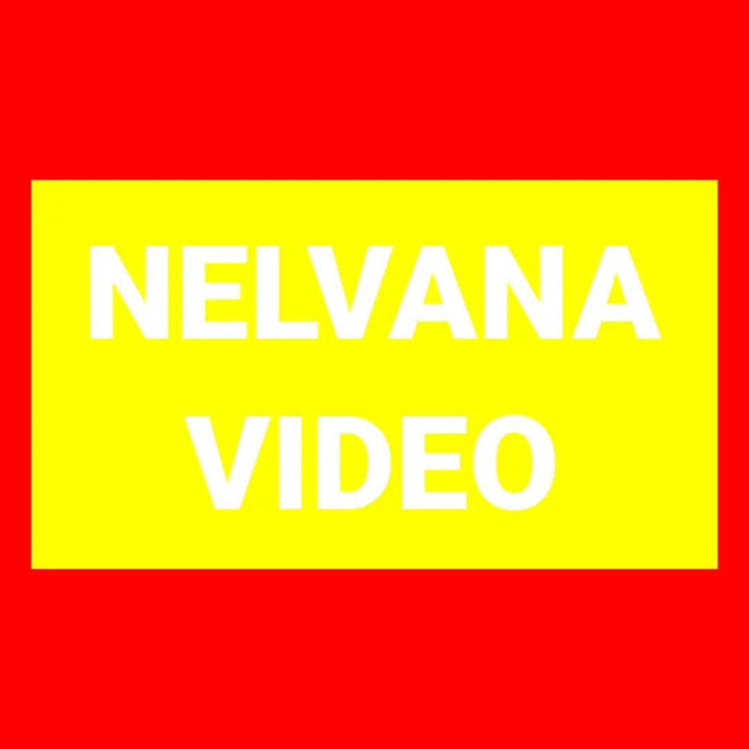 Nelvana Video | Scary Logos Wiki | Fandom