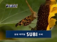 DiC | Scary Logos Wiki | Fandom