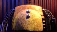 Fredbear | Fredbear and Friends: Left To Rot Wiki | Fandom