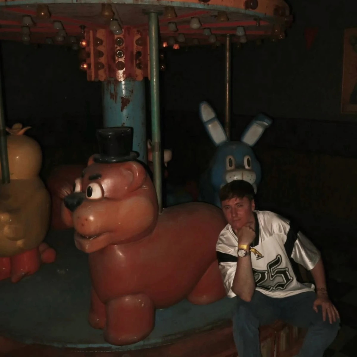 Carousel | Fazbear Entertainment Media Wiki | Fandom