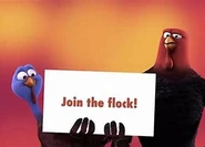 Free Birds | Free Birds Wiki | Fandom