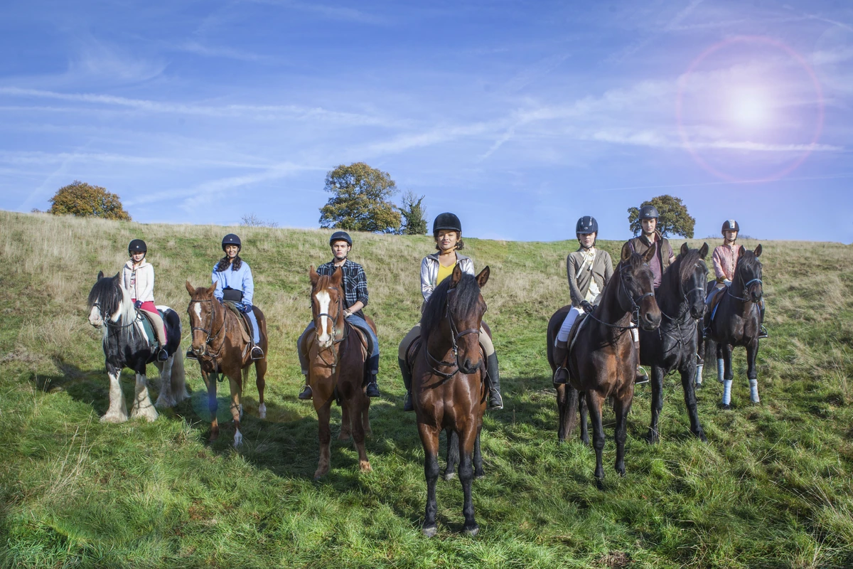 Bright Fields | Free Rein Wiki | Fandom