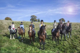 Bright Fields | Free Rein Wiki | Fandom