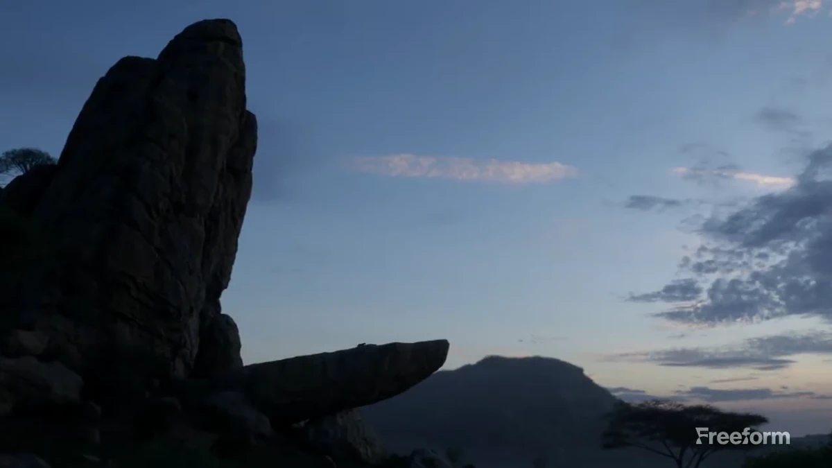 September 1, 2025 | Freeform Broadcast Archives | Fandom