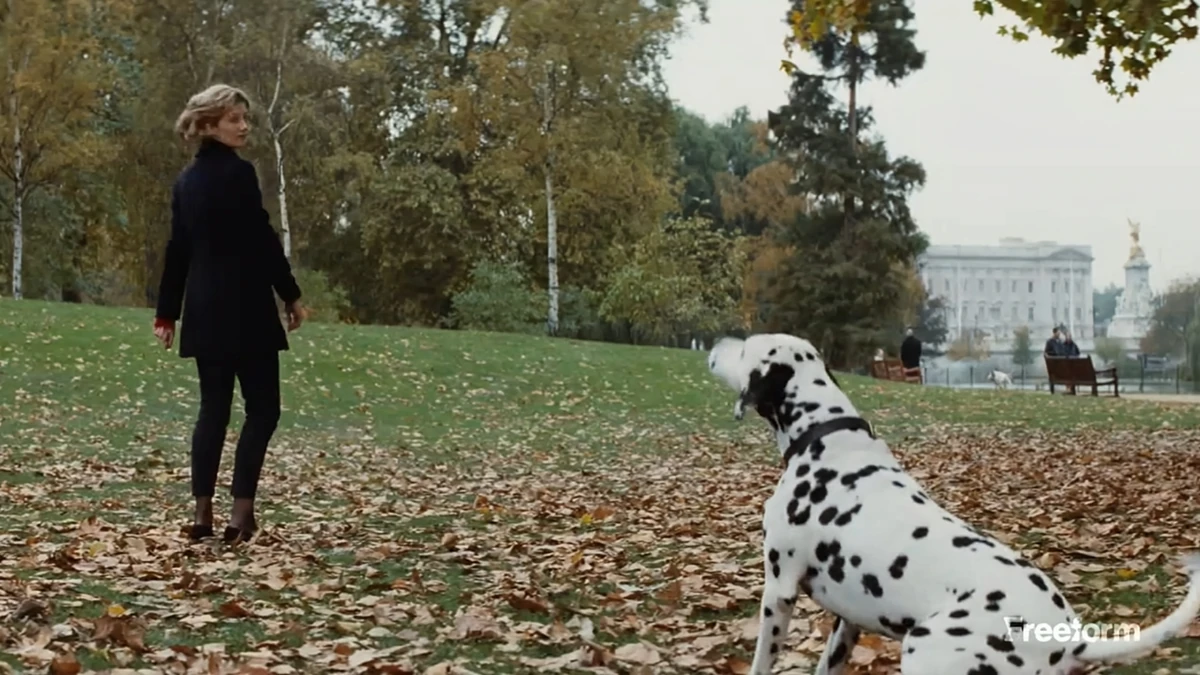 July 11, 2025 | Freeform Broadcast Archives | Fandom