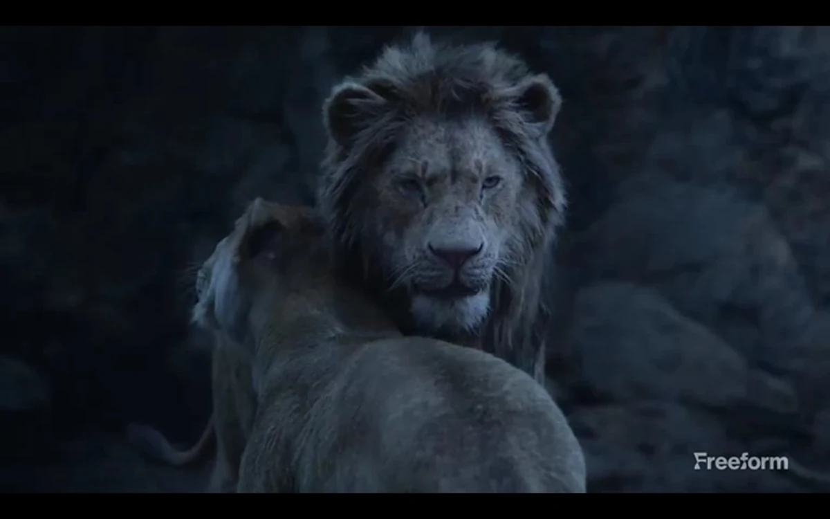 July 20, 2025 | Freeform Broadcast Archives | Fandom