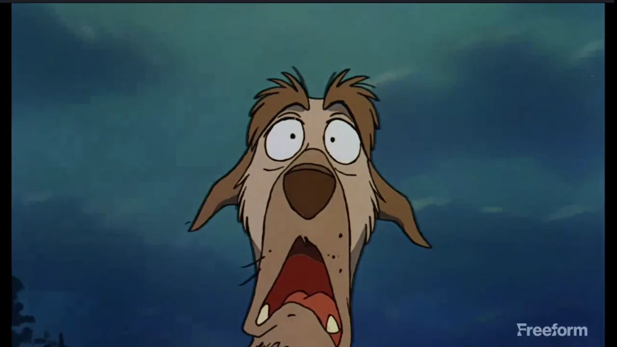 July 15, 2025 | Freeform Broadcast Archives | Fandom