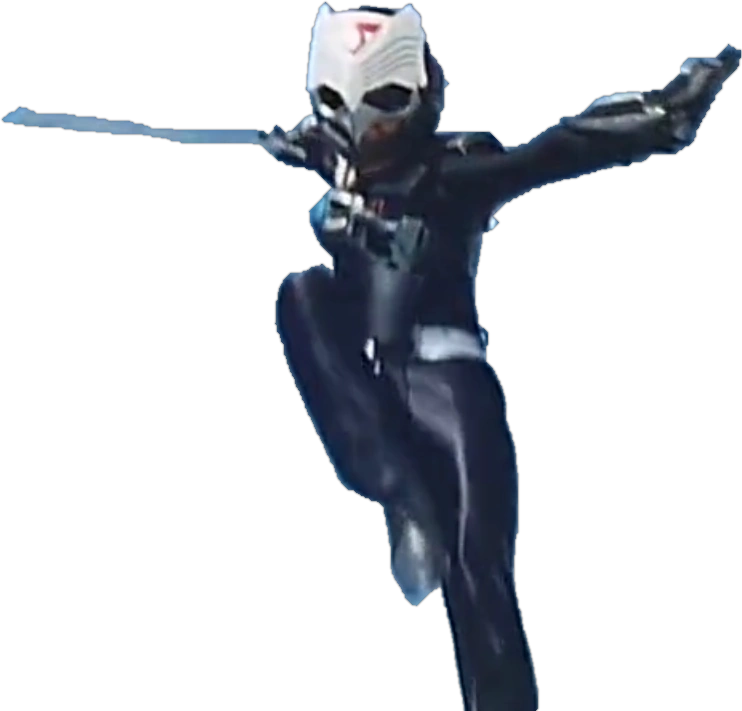 Sentai All Black | Free Kamen Rider Wiki | Fandom