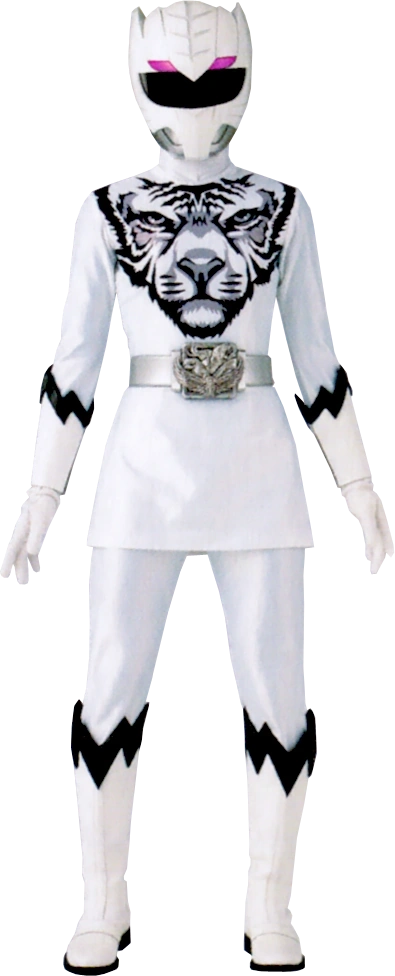 Team Meow | Free Kamen Rider Wiki | Fandom