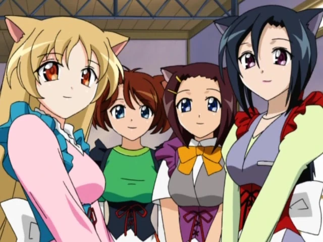 Ufo Ultramaiden Valkyrie Cat A Girl