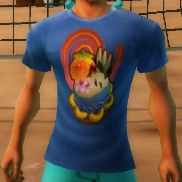 Seaside Birthday T-Shirt | FreeRealms Wiki | Fandom