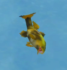 Fish | FreeRealms Wiki | Fandom