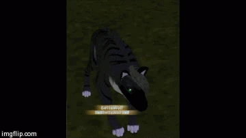 Animated Warrior Cat Gifs