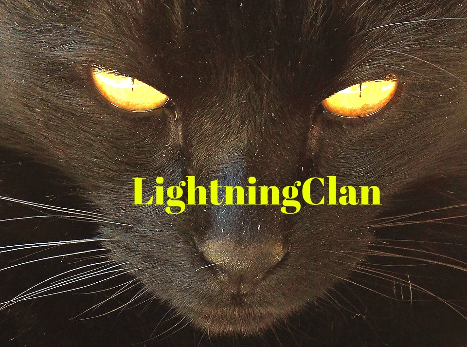 LightningClan | Free Realms Warrior Cats Wiki | Fandom