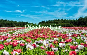 Free Realms Warrior Cats Wiki | Fandom