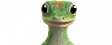 Gecko Johnson | Freesandb0x Wiki | Fandom