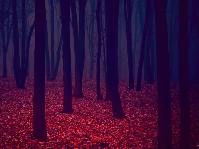 Level ZH 14: “天堂” | Backrooms Freewriting Wiki | Fandom