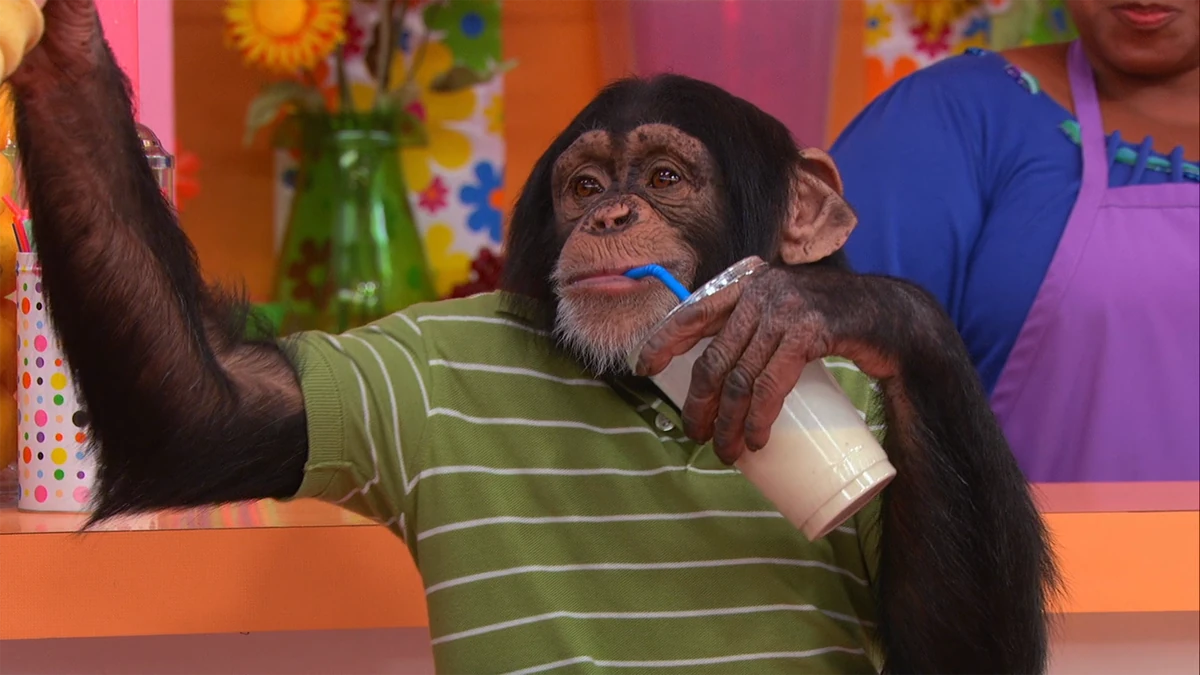 Chewy | The Fresh Beat Band Wiki | Fandom