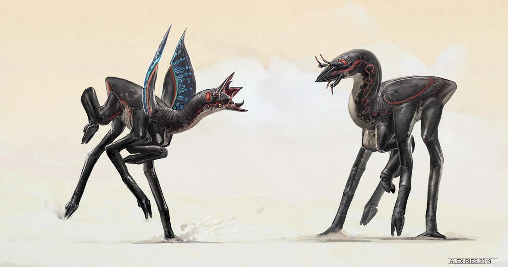 Birrin (MIGHTverse) | Friar's Tabletop Worlds Wiki | Fandom