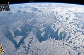 Linhas do Tempo | Frida Wiki | Fandom