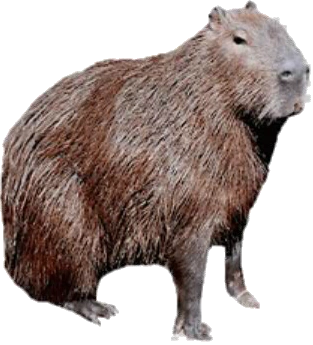 Little Man | Wiki Friday Night Funkin' Mods | Fandom