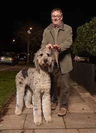 Milson | Friday Night Dinner Wiki | Fandom