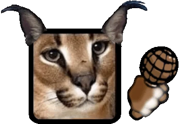 Raise A Funkin Floppa' | Funkipedia Mods Wiki | Fandom