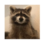 Friday Night Funkin': Cranked Up! | Funkipedia Mods Wiki | Fandom