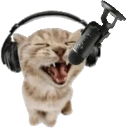 Rap cat | Funkipedia Mods Wiki | Fandom