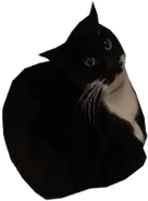 Maxwell the Cat | Funkipedia Mods Wiki | Fandom