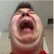 YOUR FAULT - Vs. Nikocado Avocado | Funkipedia Mods Wiki | Fandom