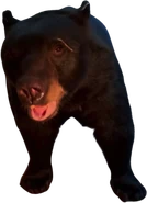 TidyBear Animal-Shaped Trash Can | Funkipedia Mods Wiki | Fandom
